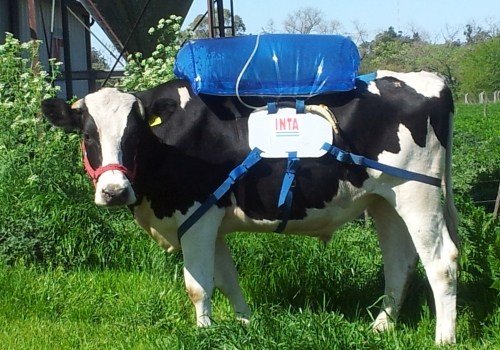 Company produces methane-capturing face mask for cows