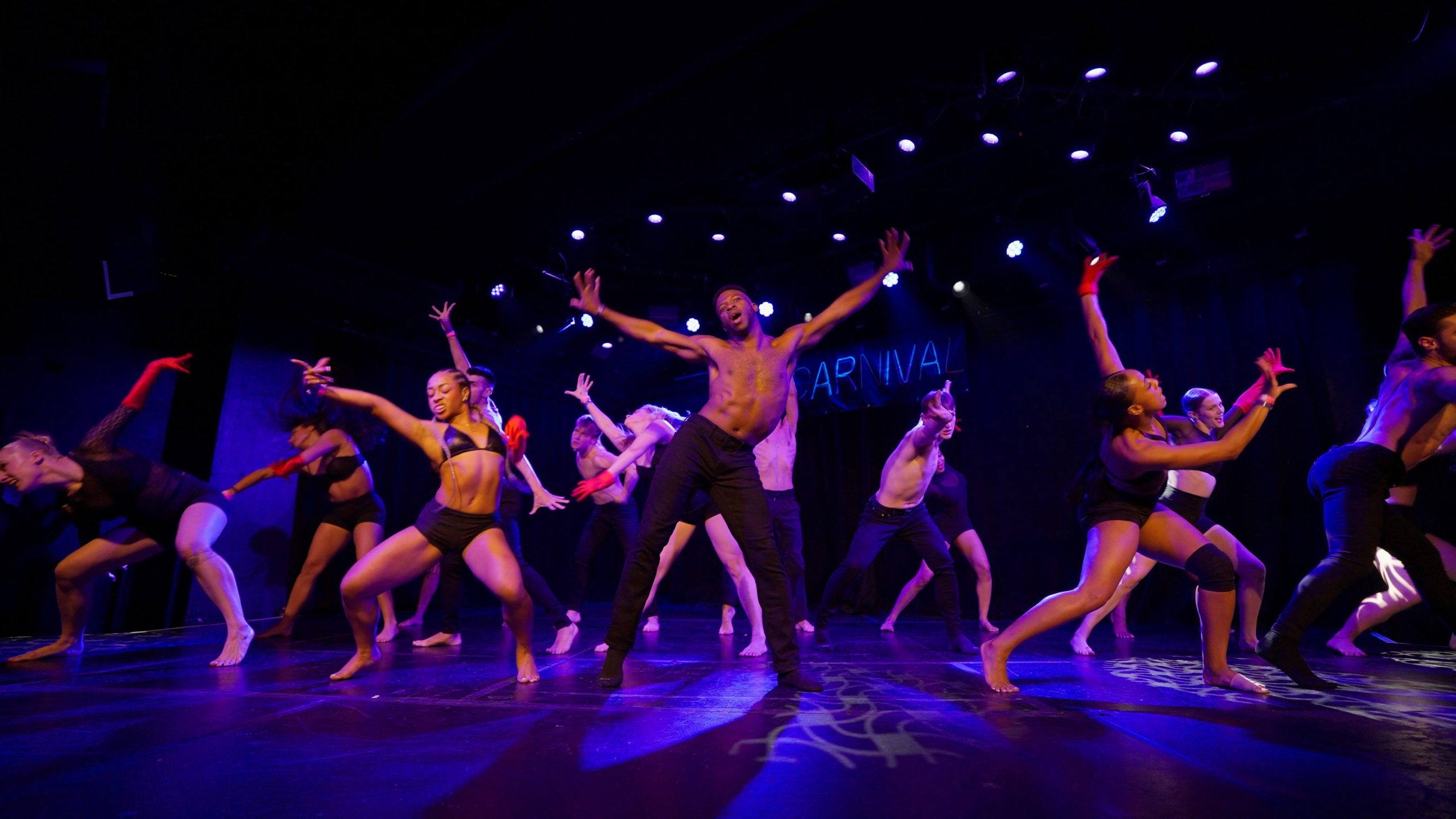 Le Poisson Rouge | Carnival Choreographers Ball NYC - 2023 Fall ...