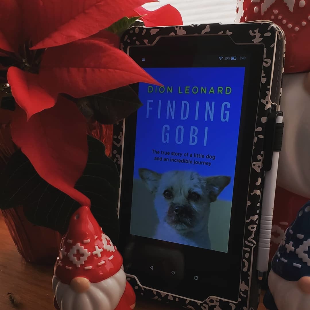 Finding Gobi: The True Story of One Little Dog’s Big Journey – Dion ...