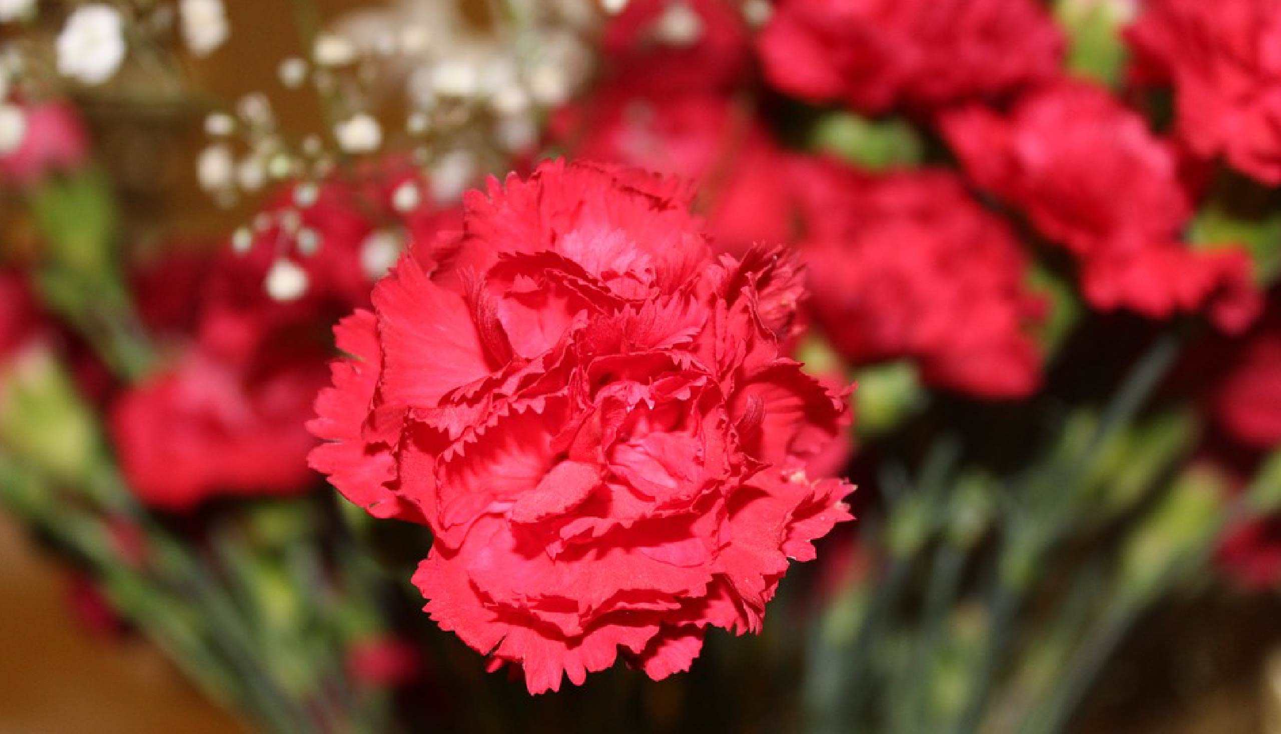 GoTravelRes Argentina | | arg|