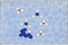 Next Generation Science Standards | Science | CK-12 Foundation