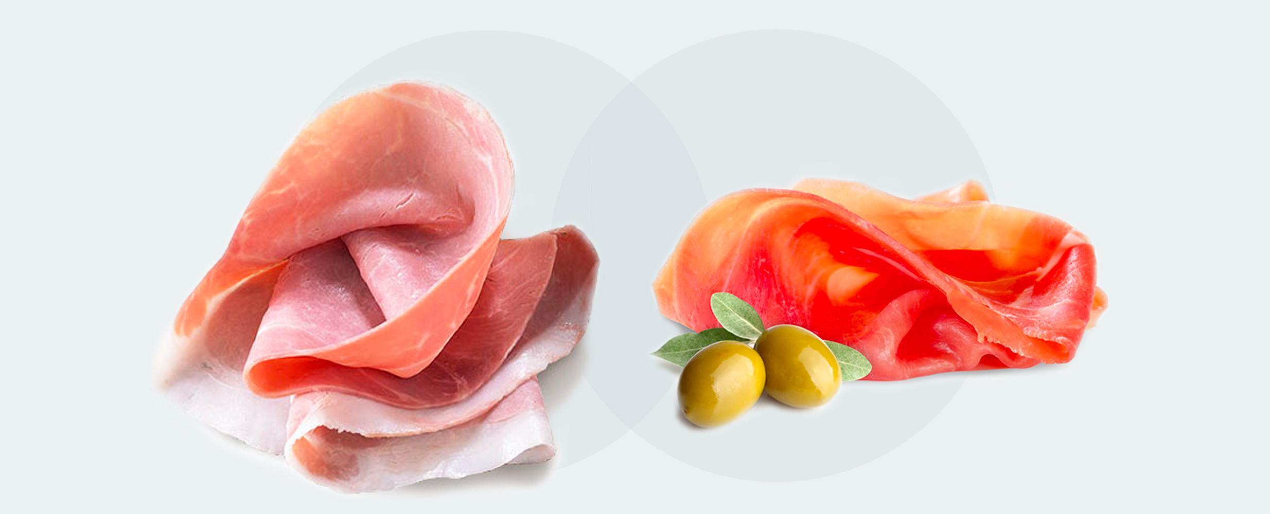 Brand History | Rovagnati