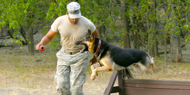 (Tuesday, January 29th, 2019) - New Pet Training Technology Invented By ...