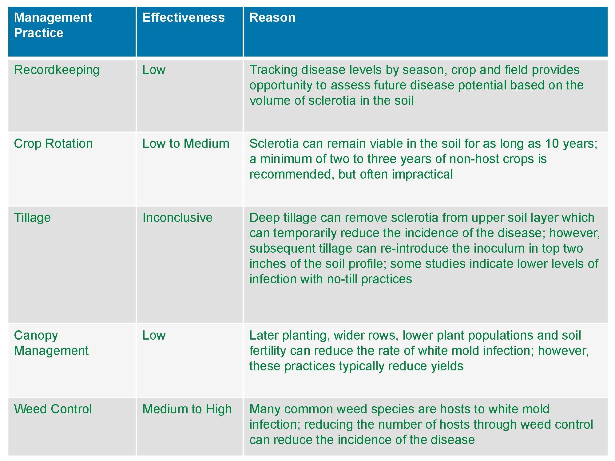 White Mold Management