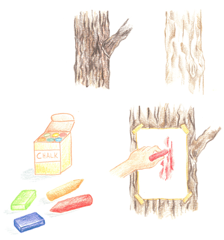 Tree Bark Rubbings
