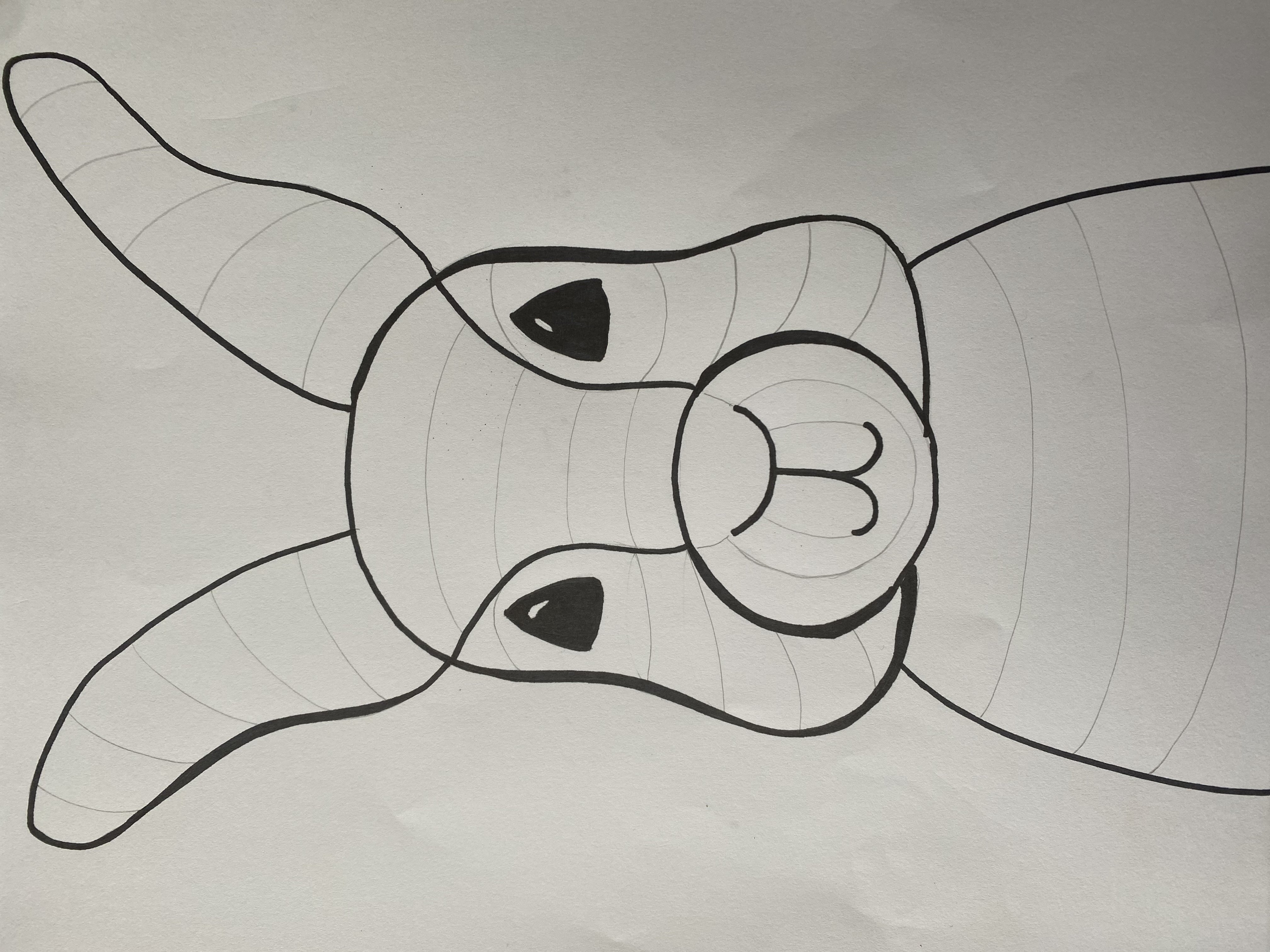 Adding Doodles