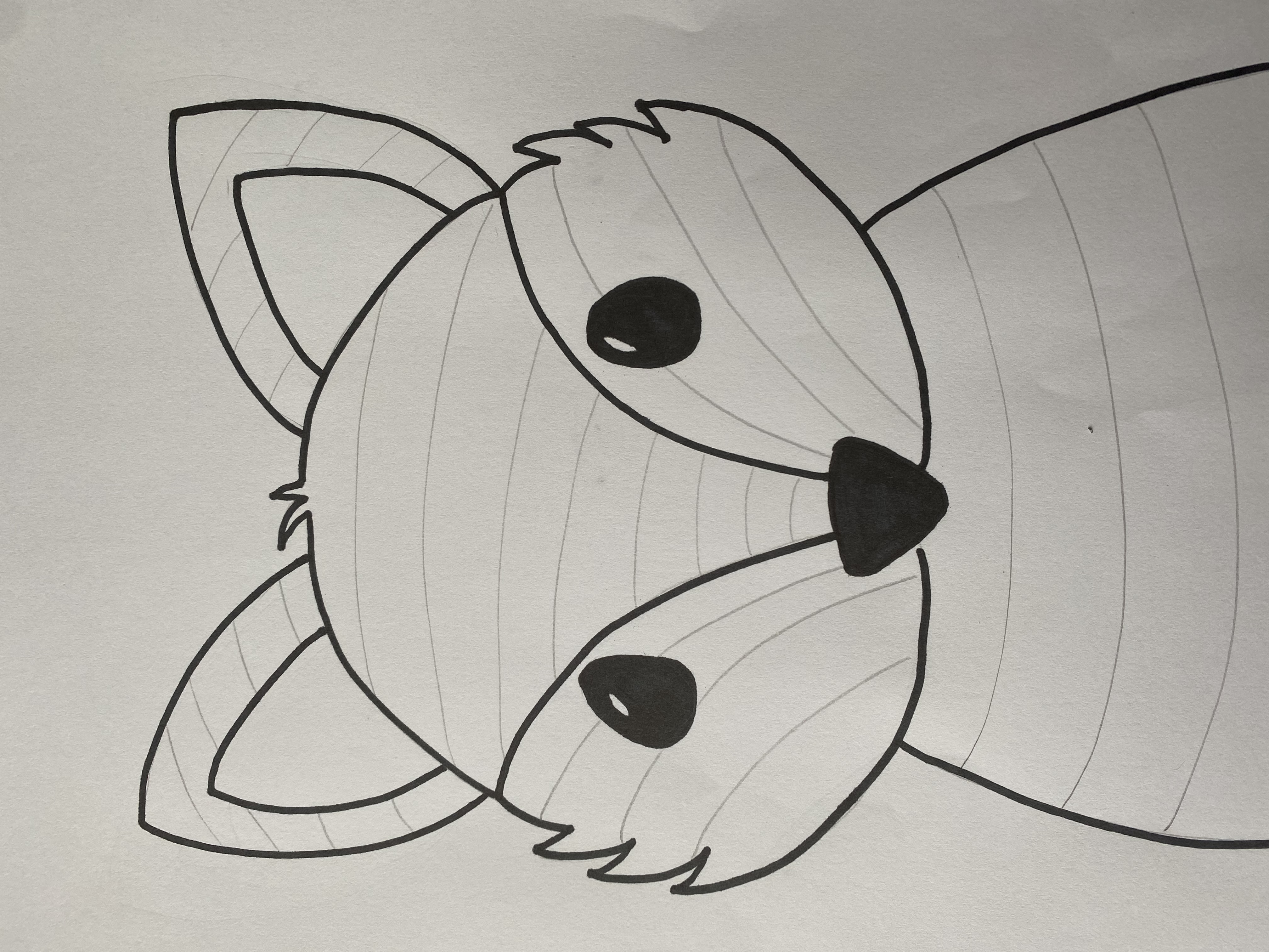 Adding Doodles