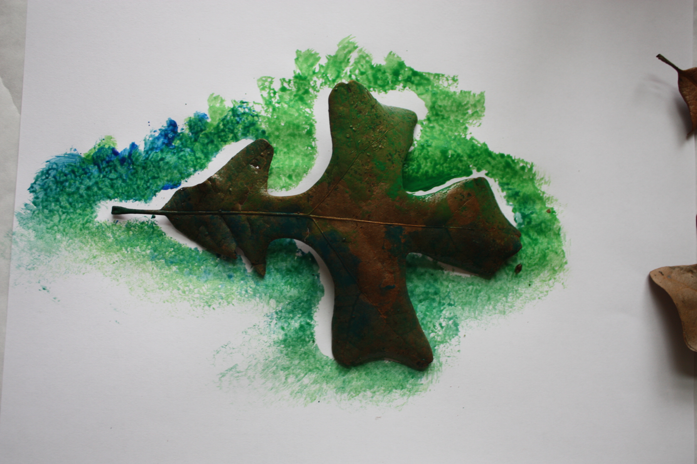 Making Leaf Stencils