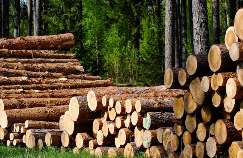 Nature Gives To Humans