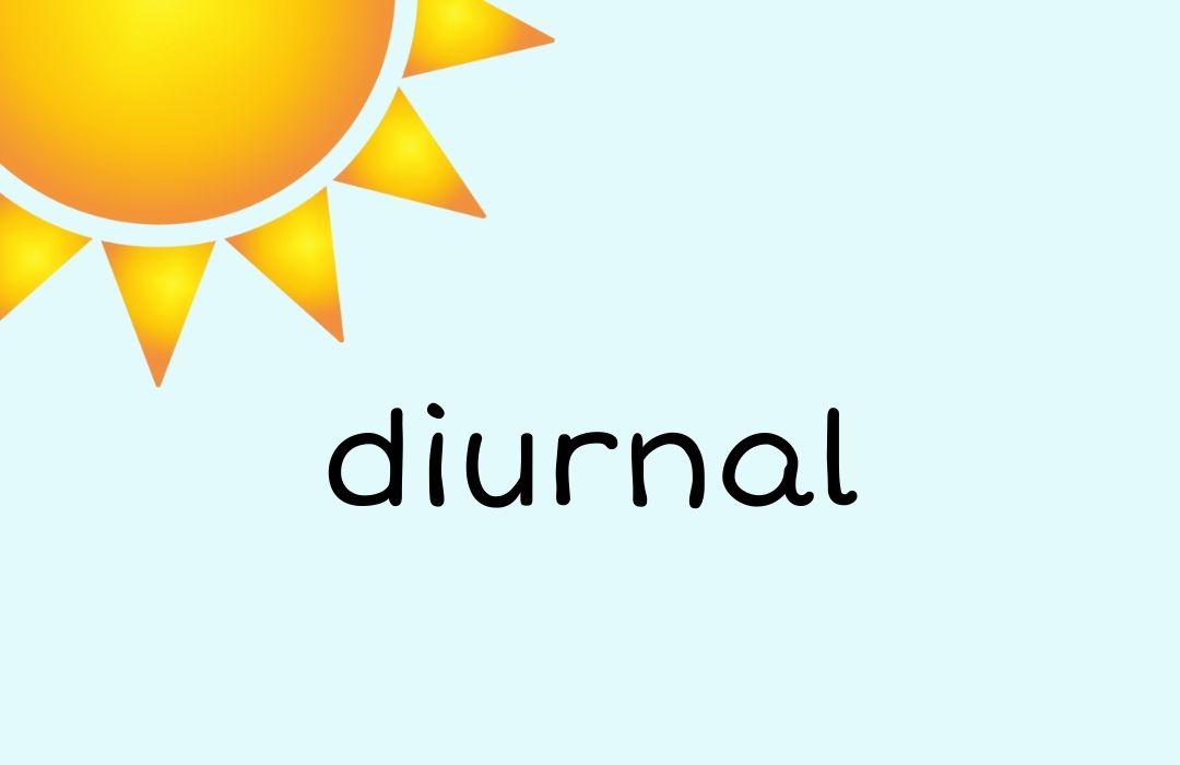 Nocturnal and Diurnal Practice