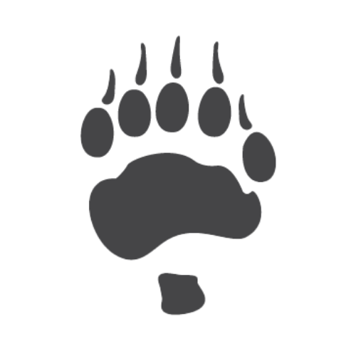 Observing Animal Tracks Practice