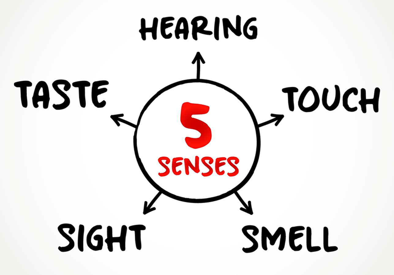 Stimulus and Response