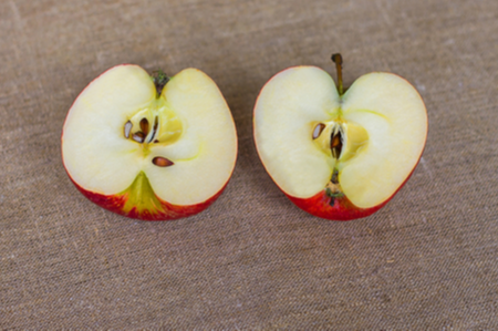 Seeds and Germination