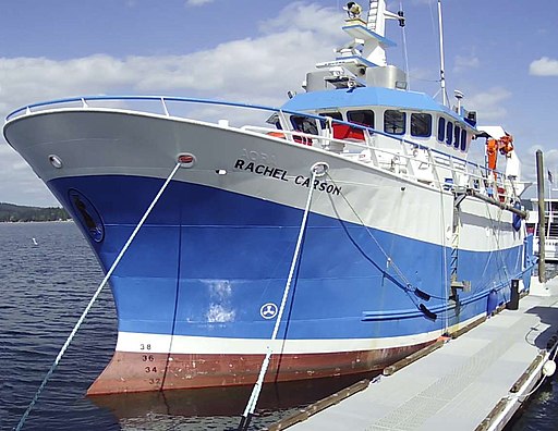 A Personal Inspiration