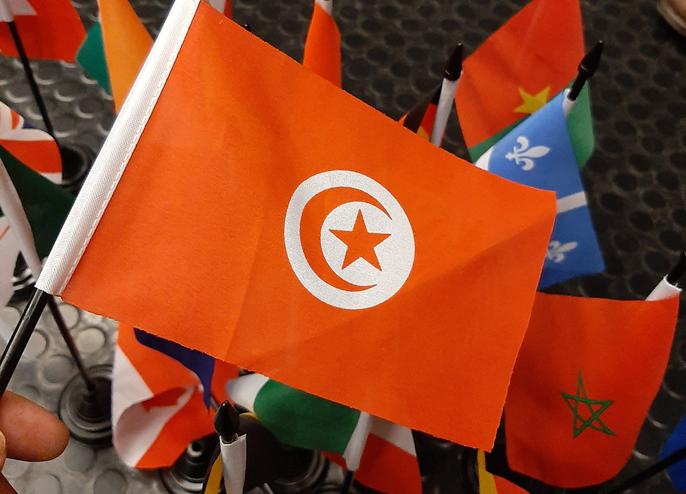 Je suis francophone & Je parle français