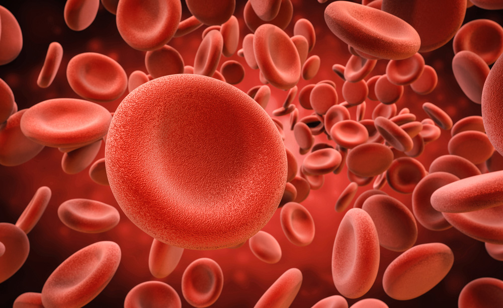 The Functions of Blood