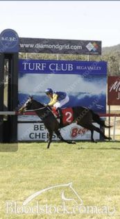 Thoroughbred horses for sale, Stallion Profiles, Racehorse Shares on ...