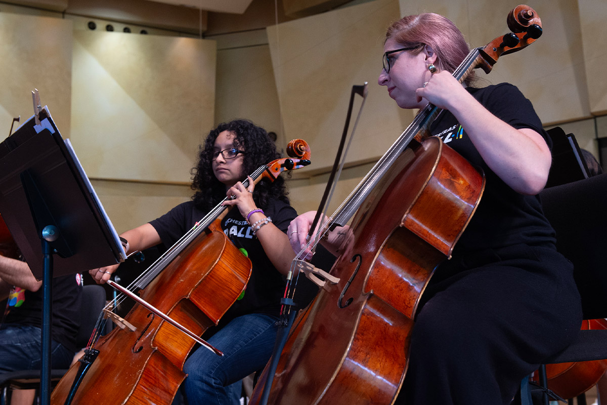 Ravinia Festival | Official Site | 2024 National Seminario Ravinia ...