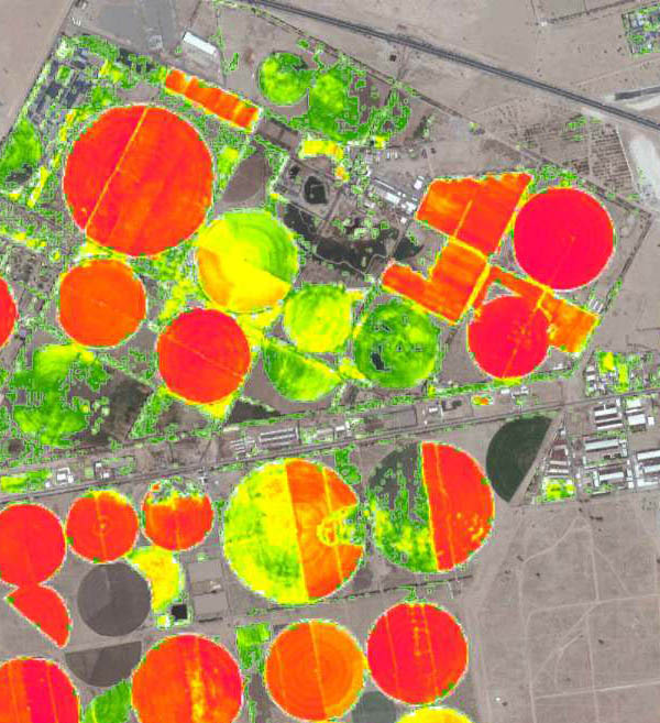 NDVI Index Agriculture Mapping | Satellite Imaging Corp