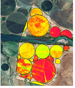 Agriculture Mapping | Satellite Imaging Corp