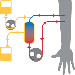 Preparing for Plasma Donation :: ADMA BioCenters