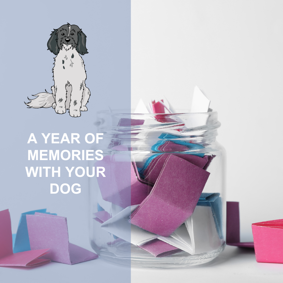 A Year of Memories With Your Dog