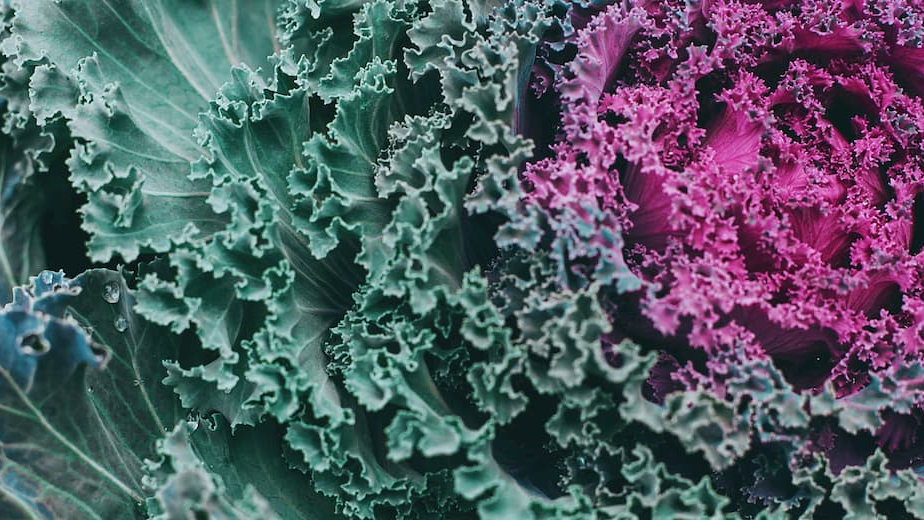 Think flavour. Think layers.