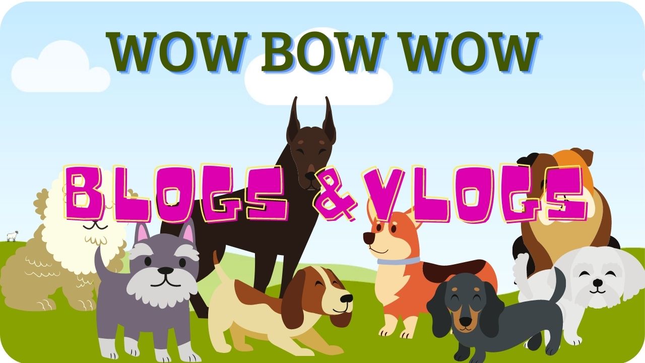 Wow Bow Wow Blogs and Vlogs