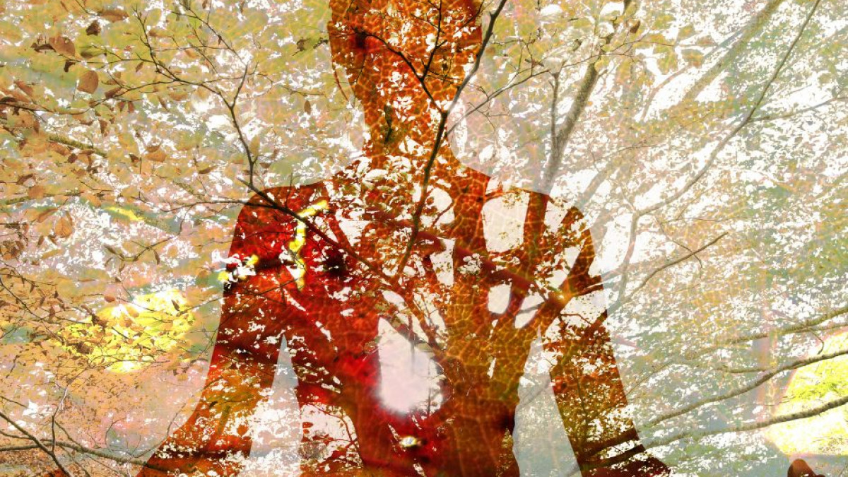 Awaken the Body : Grounding Techniques and Somatic Movement Practice