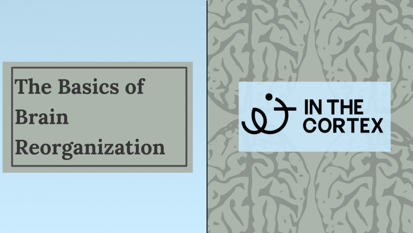 Basics of Brain Reorganization