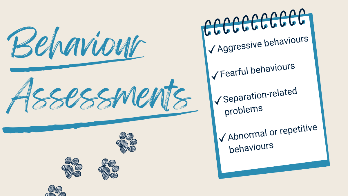 Behaviour Assessments