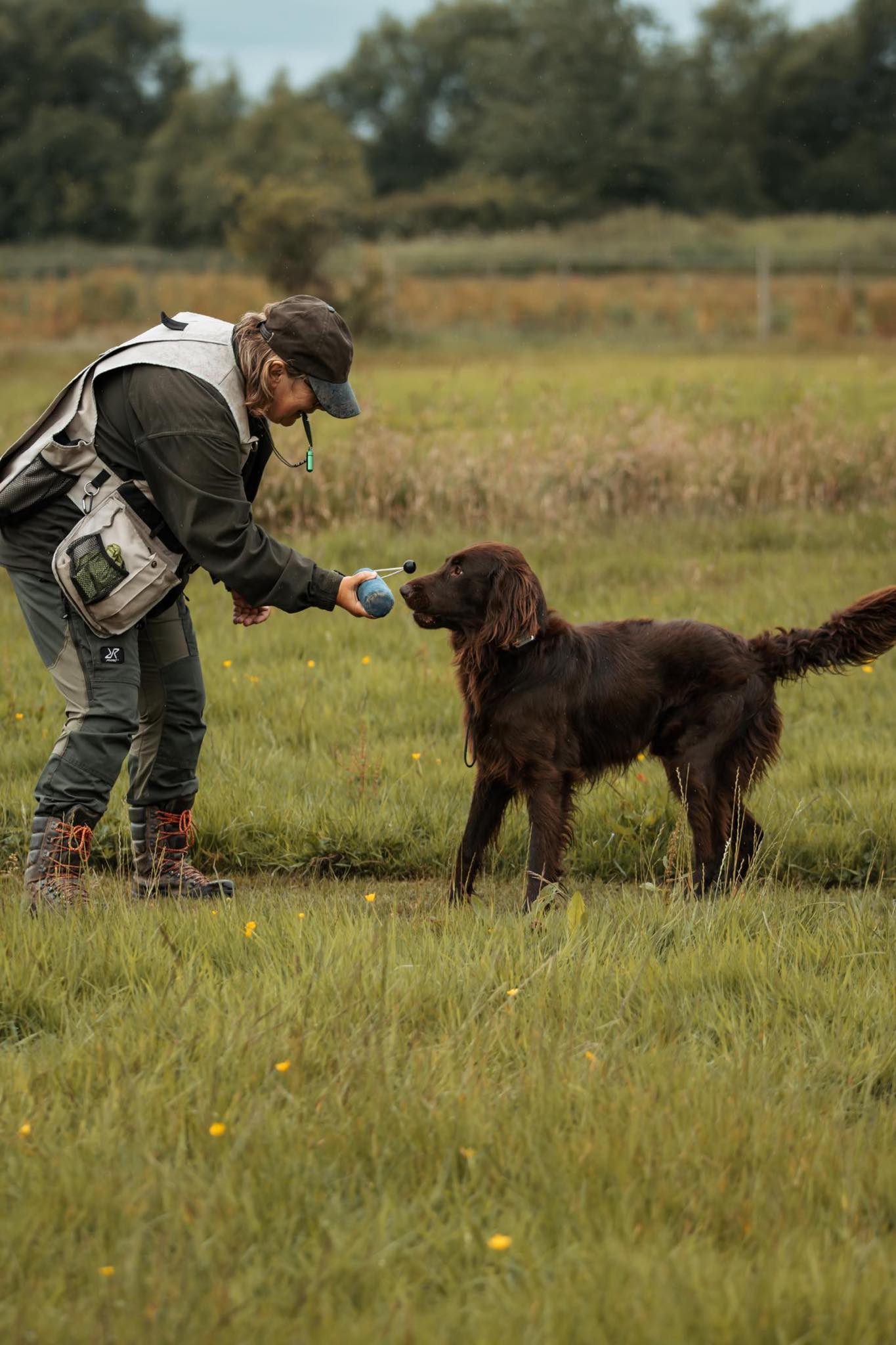 The Benefits of Gundog Training for Non-Working Dogs