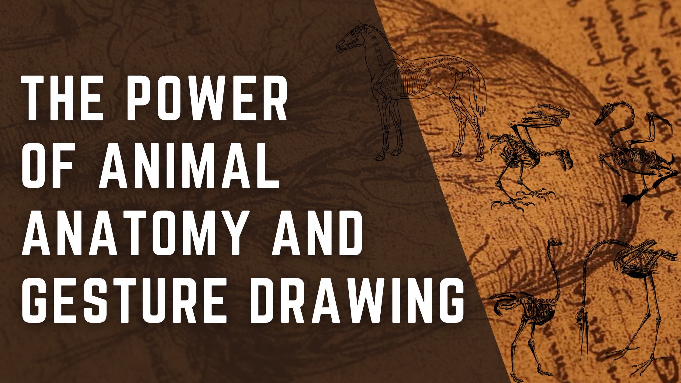 Enhancing Drawing Skills: The Power of Animal Anatomy and Gesture Drawing