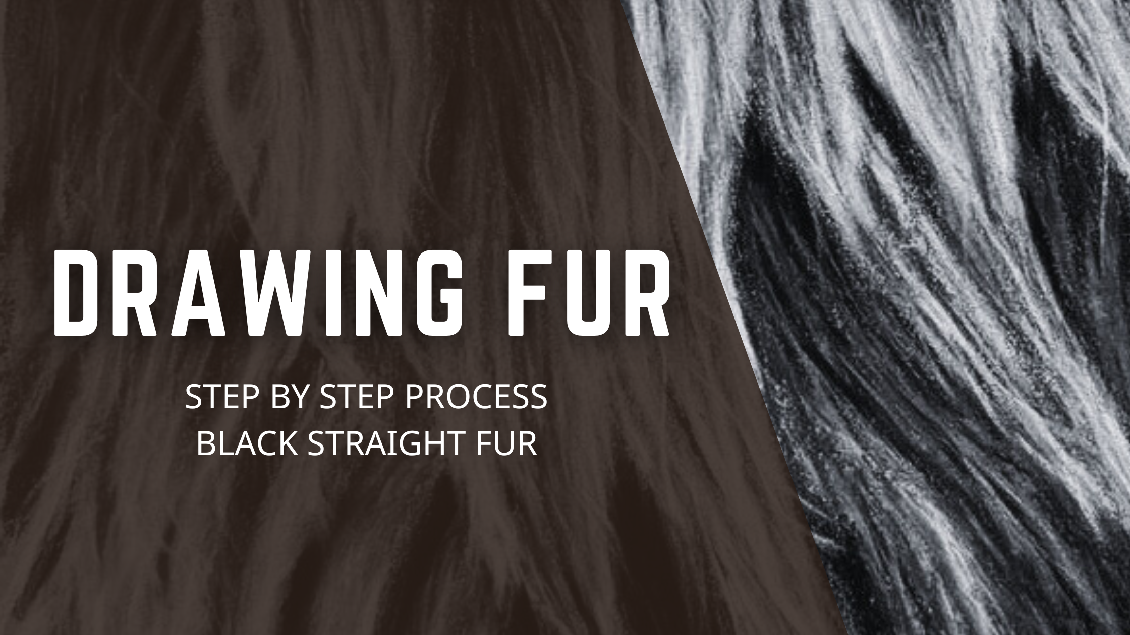 Drawing Fur - Black and Straight