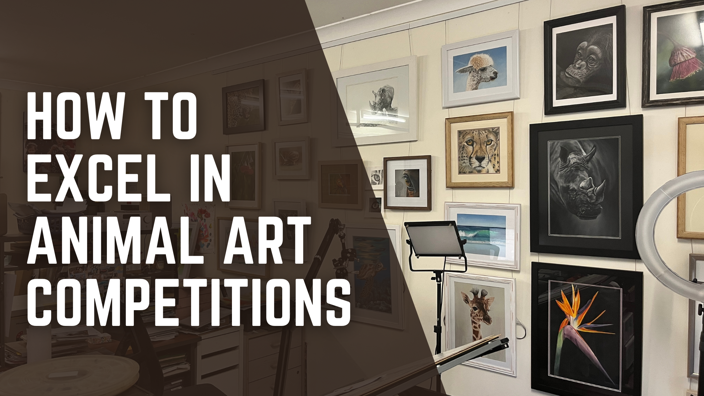 How to Excel in Animal Art Competitions: A Comprehensive Guide