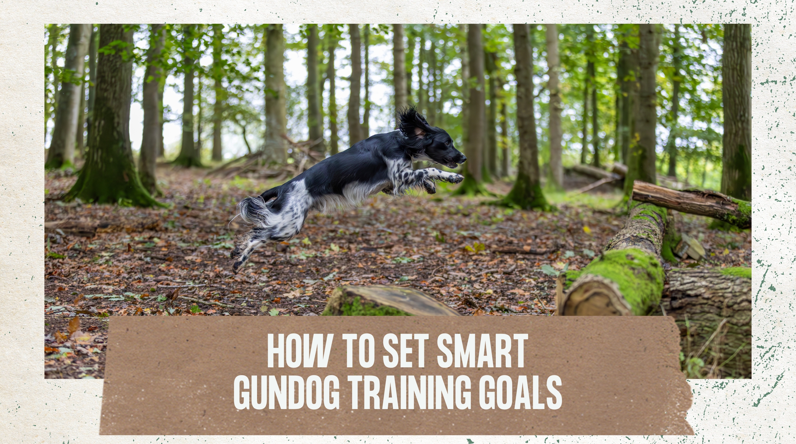 How to set gundog training goals