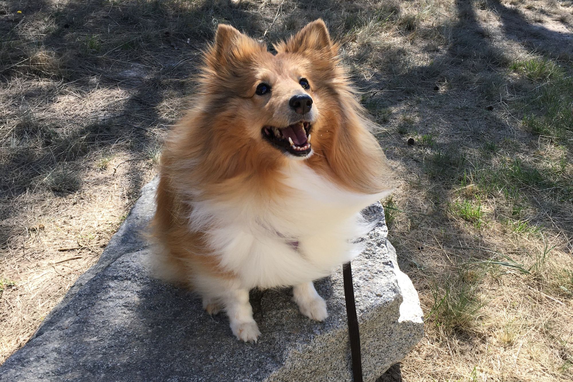 The slow or fast path to changing behaviour?