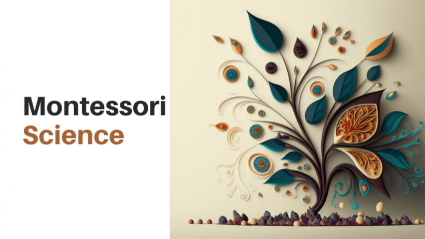 Montessori Science By GHT