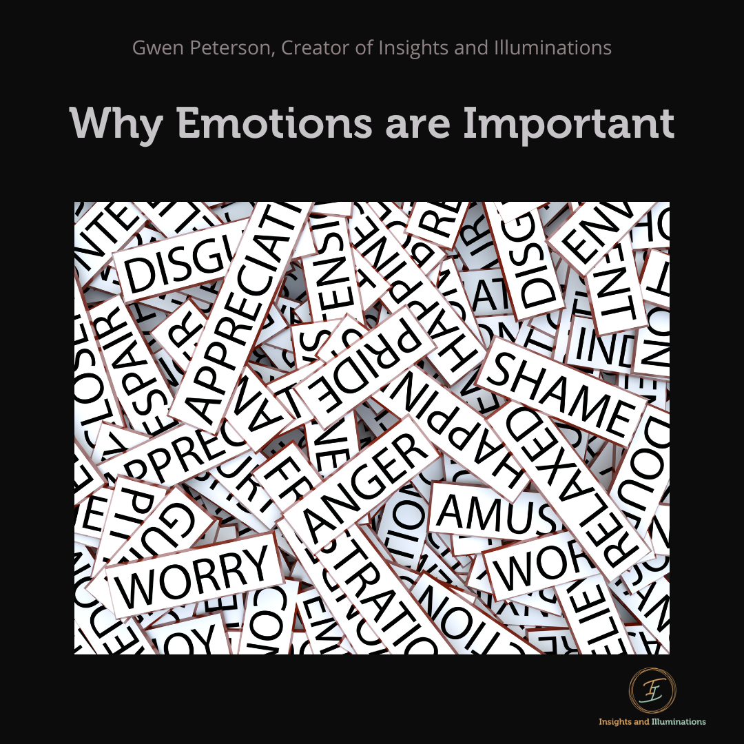 Why Emotions are Important