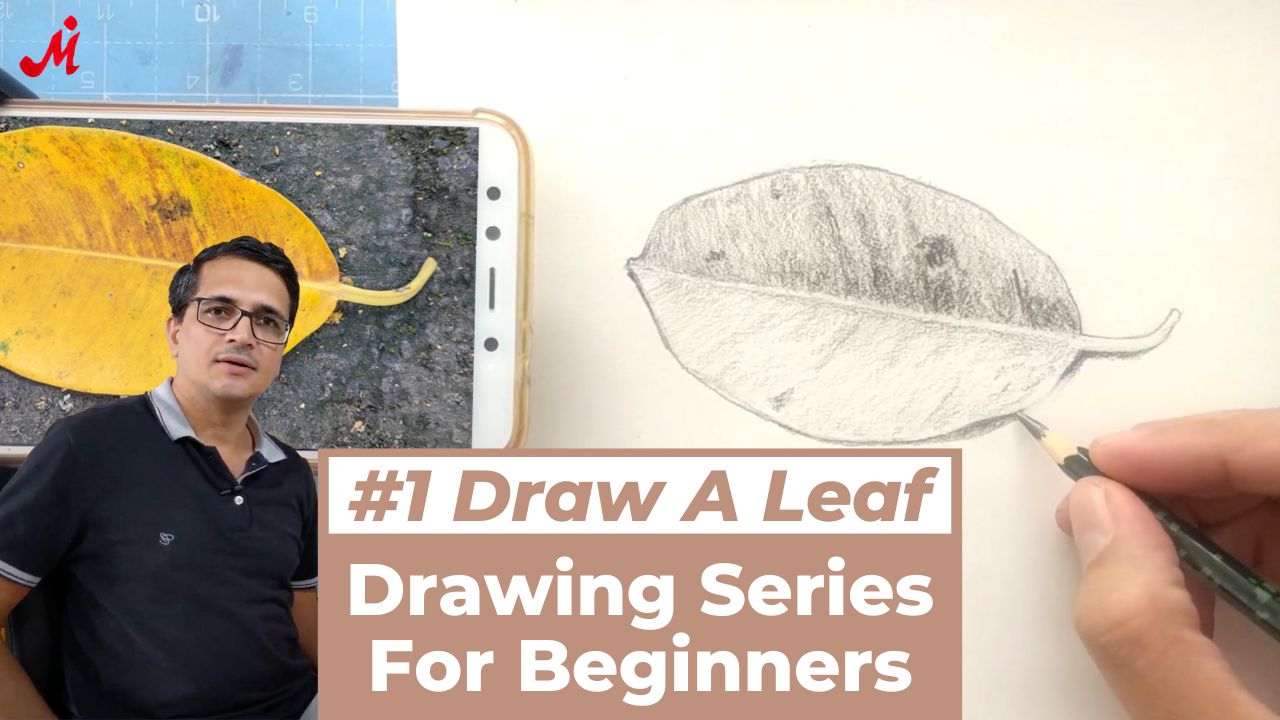 How to Draw a Leaf: Drawing Practice for Beginners