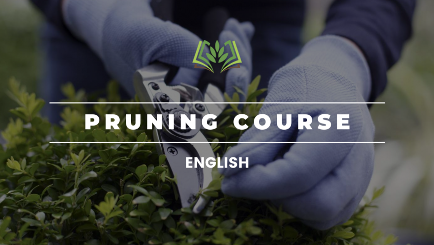 Pruning Course - English