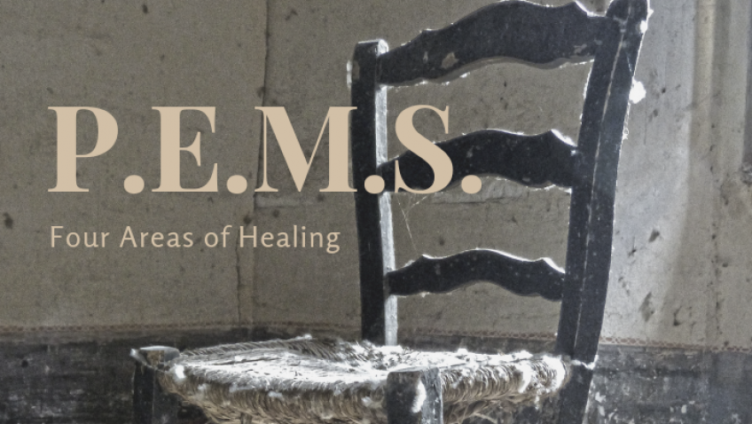 PEMS Healing