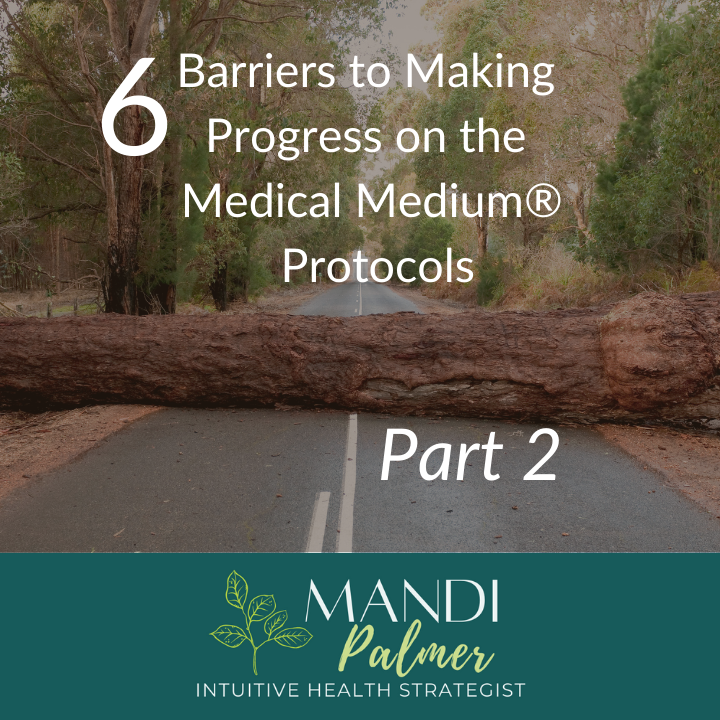 6 Barriers to Making Progress on the Medical Medium Protocols: Part 2