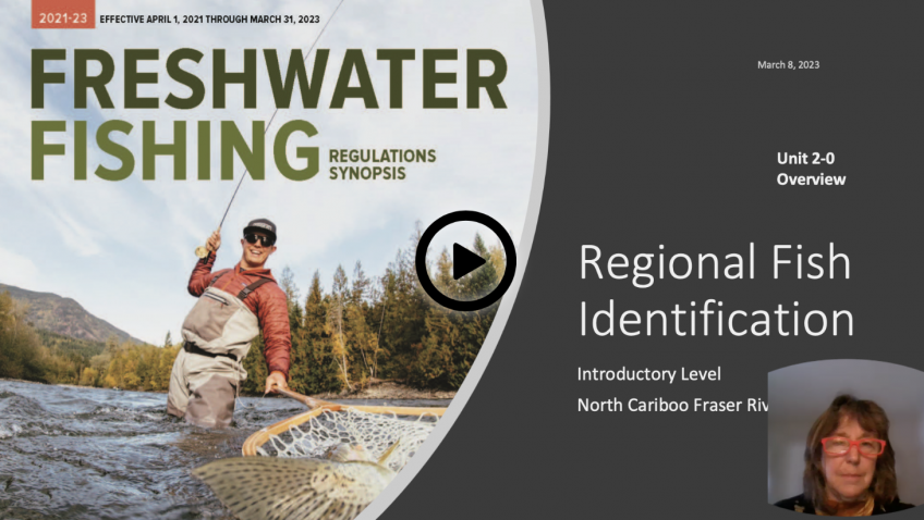 Regional Fish Identification