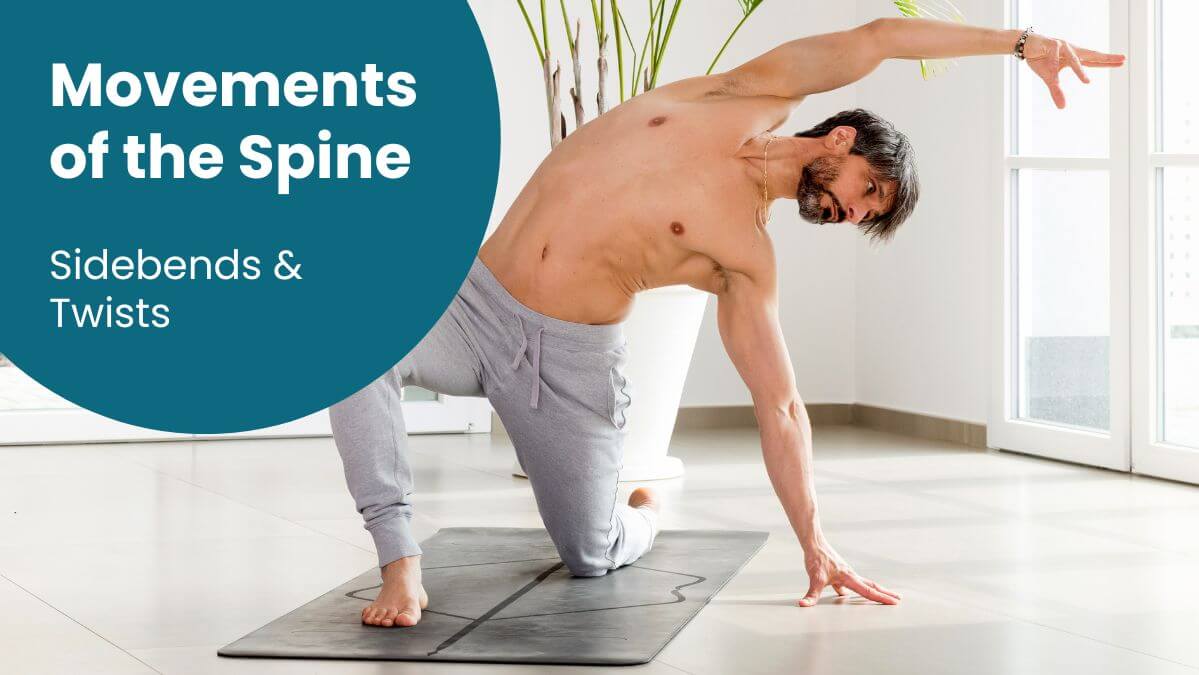 Do Twists in Yoga Detoxify The Body? What About Sidebends?