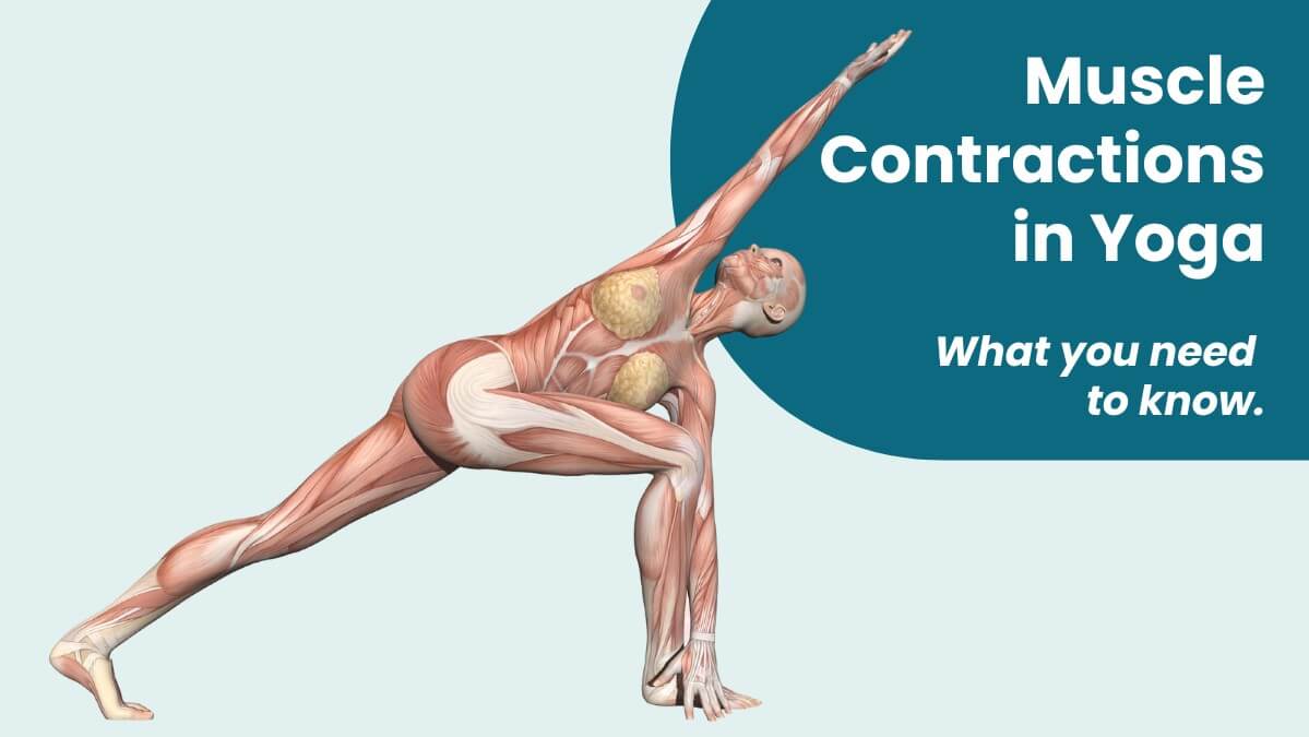 Muscle Contractions in Yoga