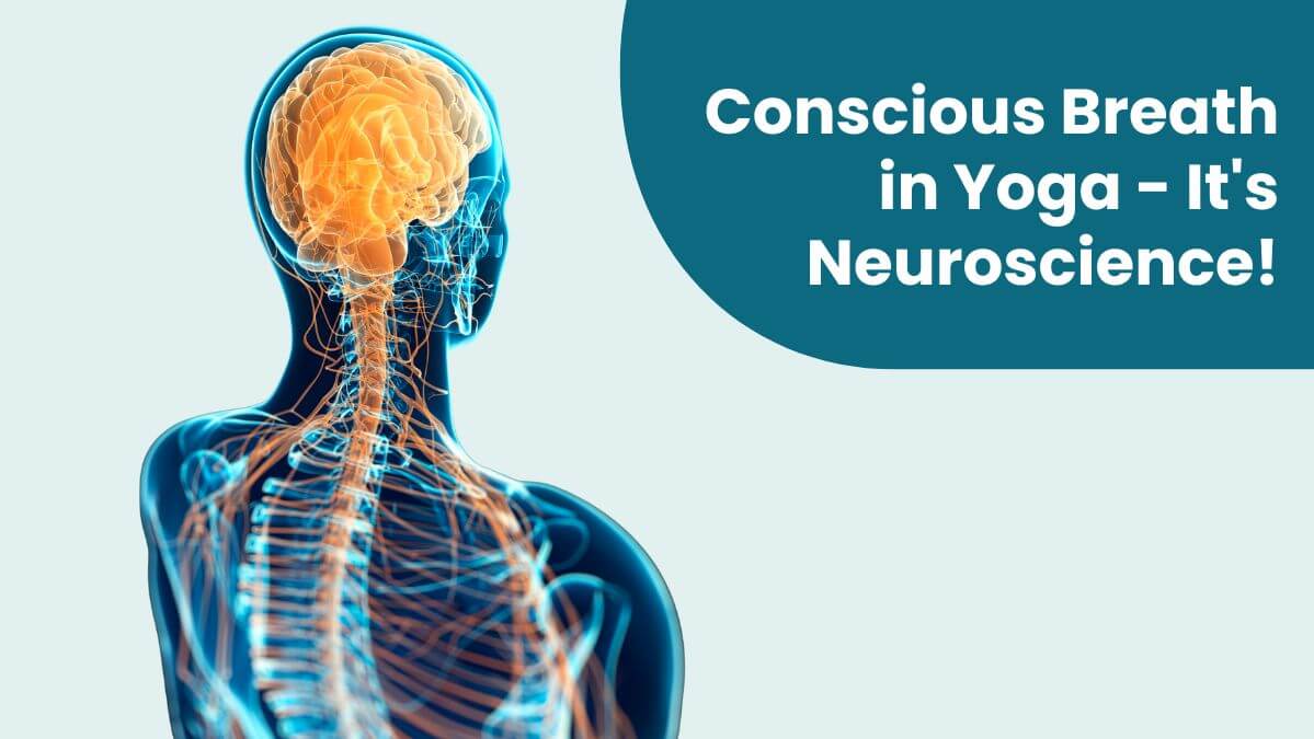 Conscious Breathing in Yoga: It's Neuroscience!