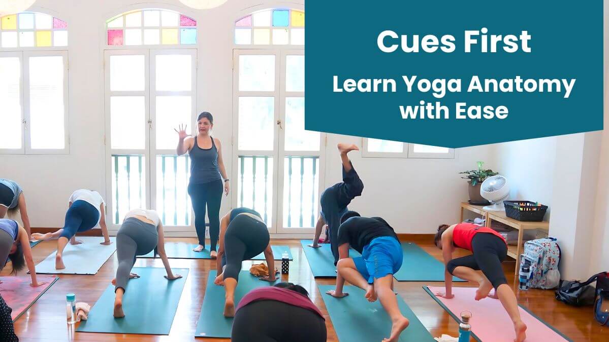 Cues First: Learn Yoga Anatomy With Ease