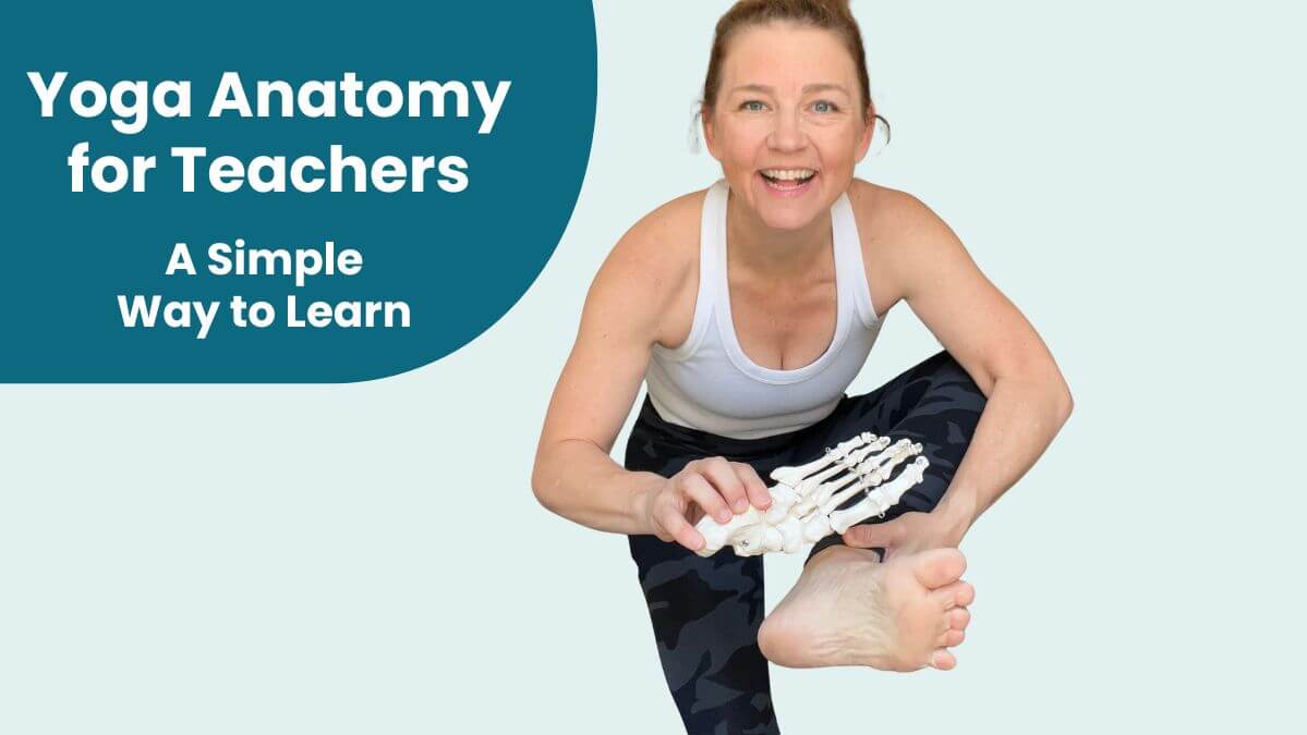 Yoga Anatomy for Teachers
