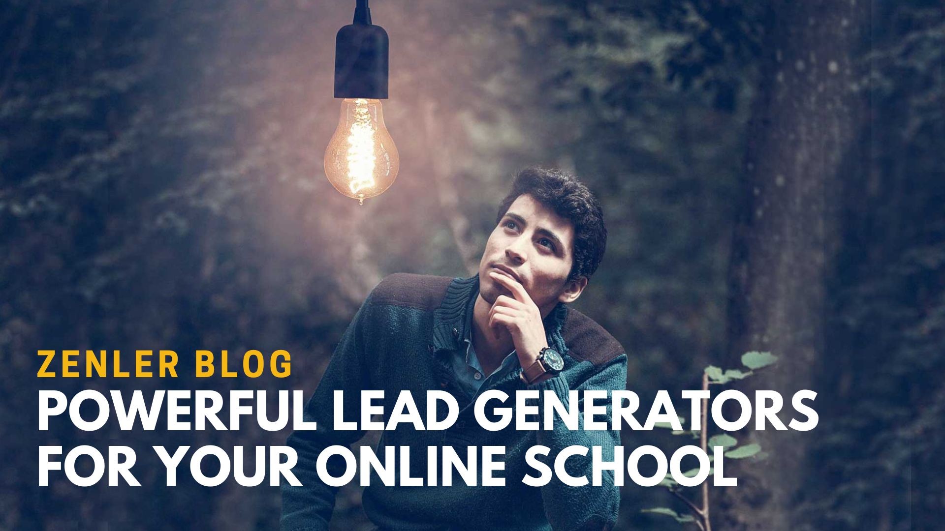 Powerful Lead generators for your online school